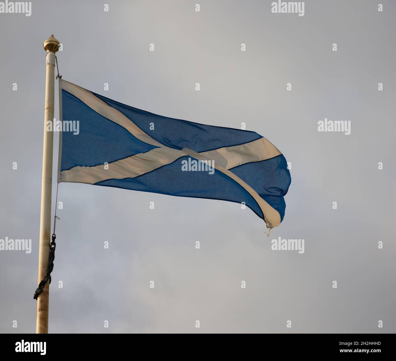 National symbols flag scotland hi-res stock photography and images - Alamy
