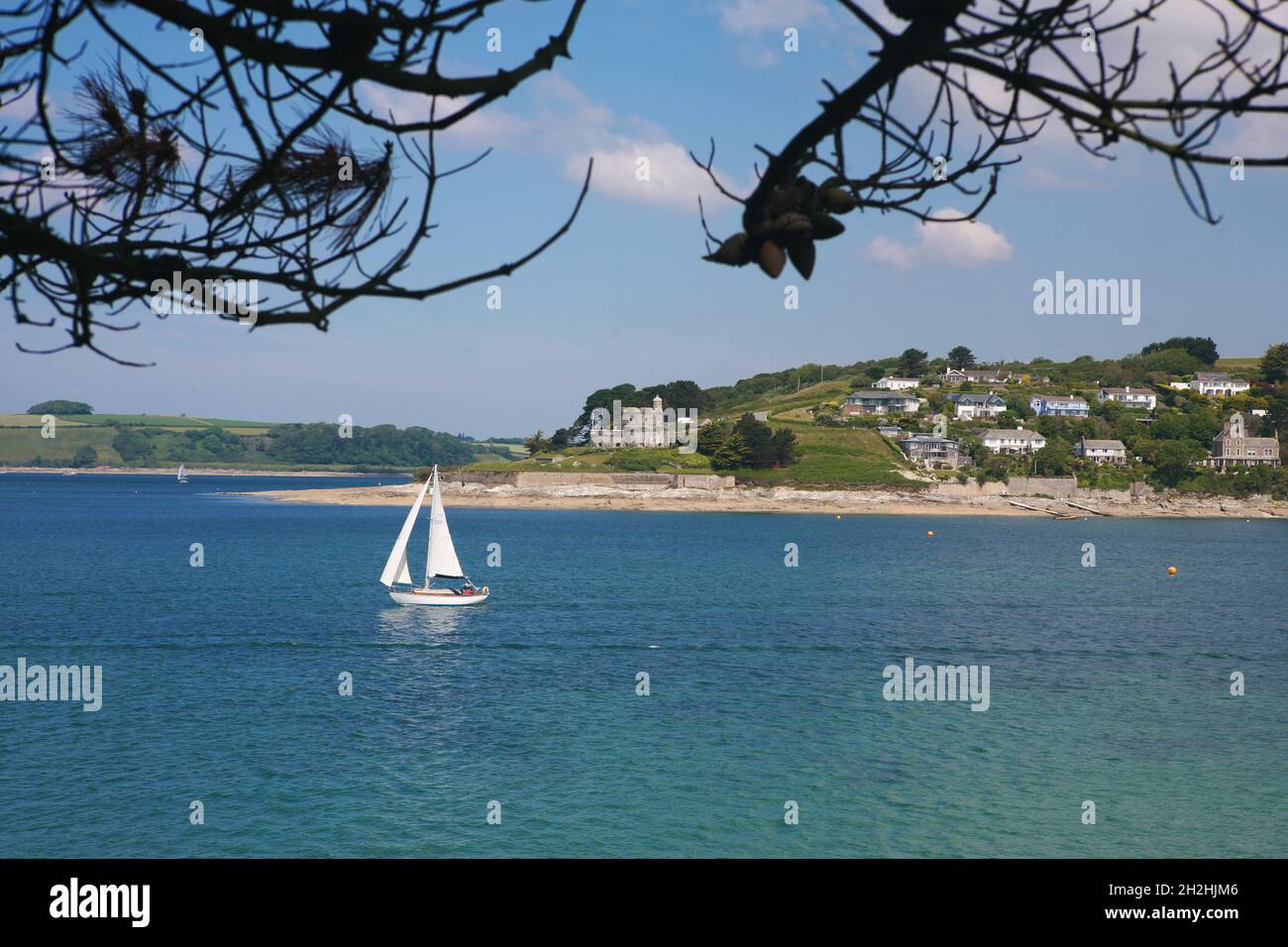 A pretty yacht sails out of the Percuil River estuary past St. Mawes ...