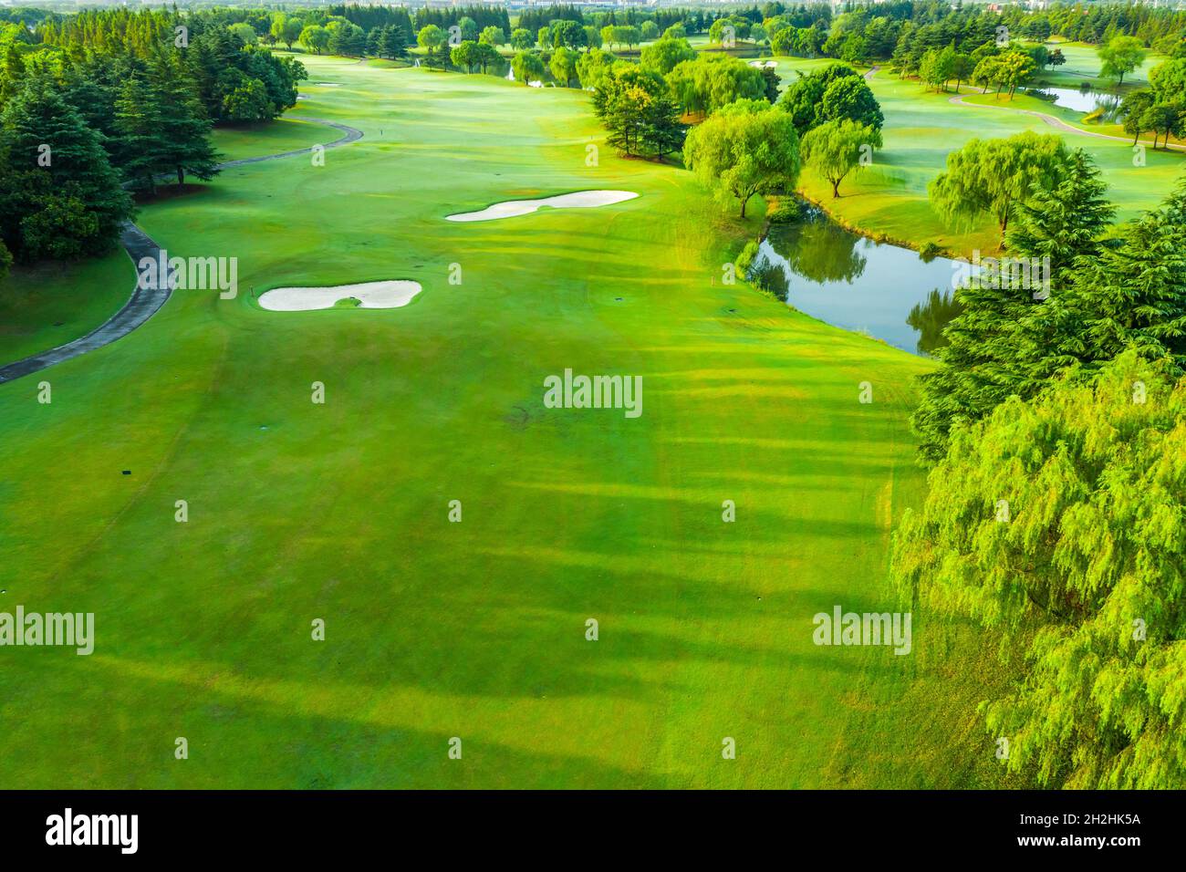Aerial view of green grass and tree on golf course Stock Photo - Alamy