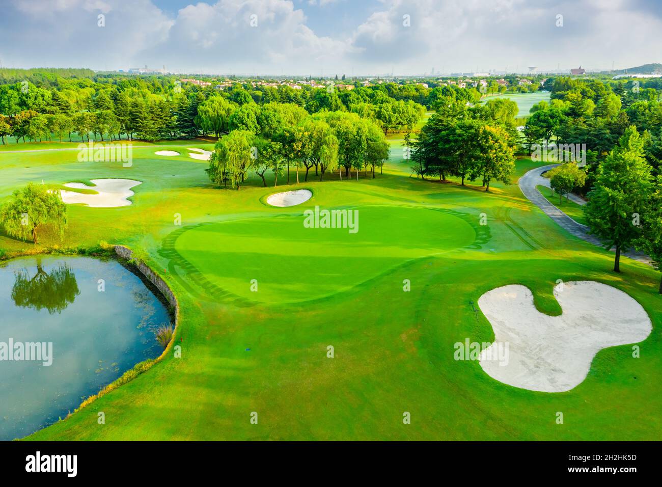 Aerial view of green grass and tree on golf course Stock Photo - Alamy