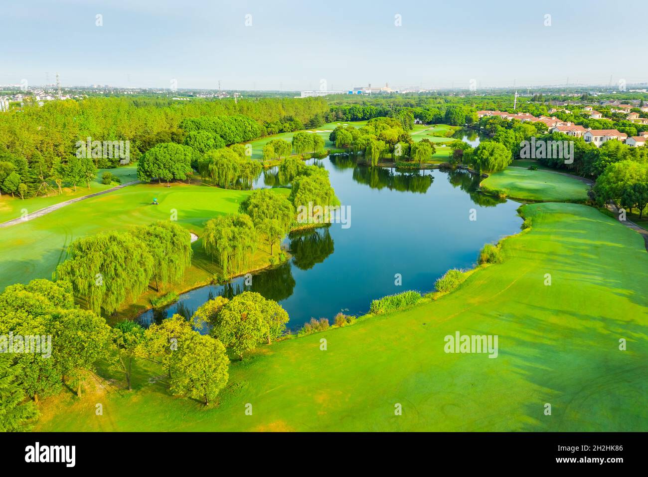 Aerial view of green grass and tree on a golf field Stock Photo - Alamy