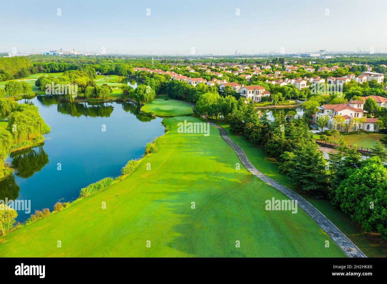 Aerial view of green grass and tree on a golf field Stock Photo - Alamy