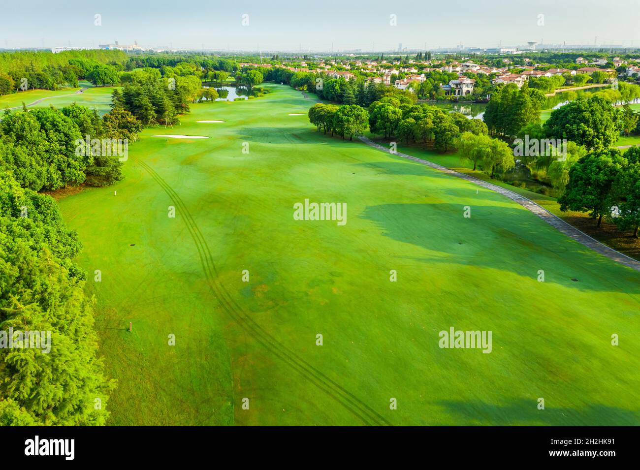 Aerial view of green grass and tree on a golf field Stock Photo - Alamy