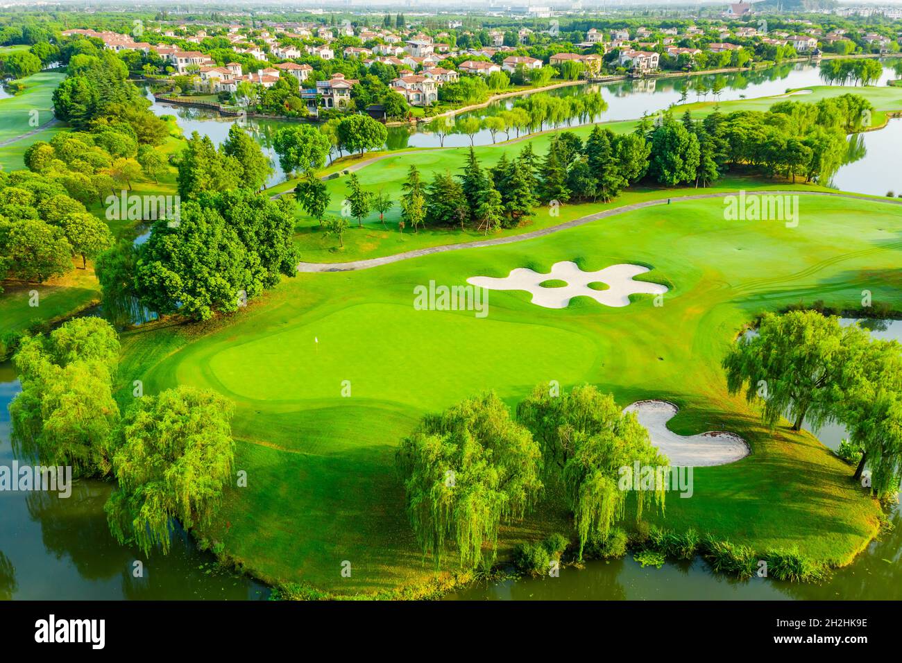 Aerial view of green grass and tree on golf course Stock Photo - Alamy