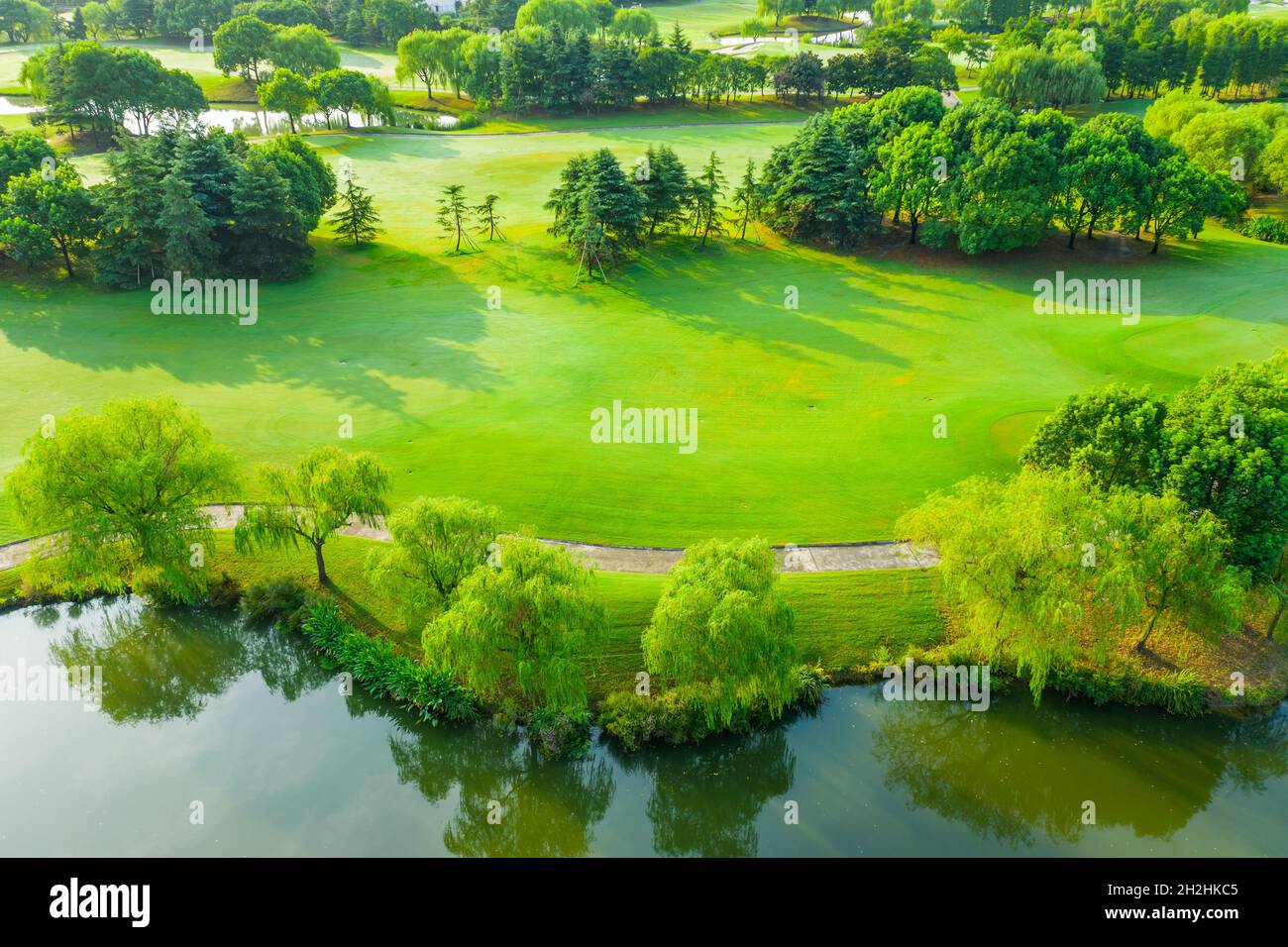 Aerial view of green grass and tree Stock Photo - Alamy