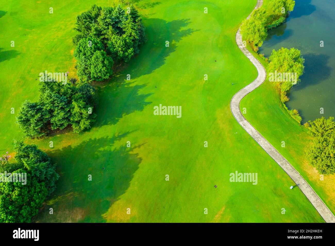 Aerial view of green grass and tree Stock Photo - Alamy
