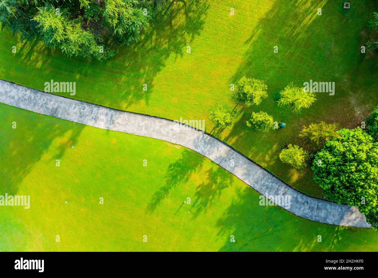 Aerial view of green grass and tree with road Stock Photo - Alamy