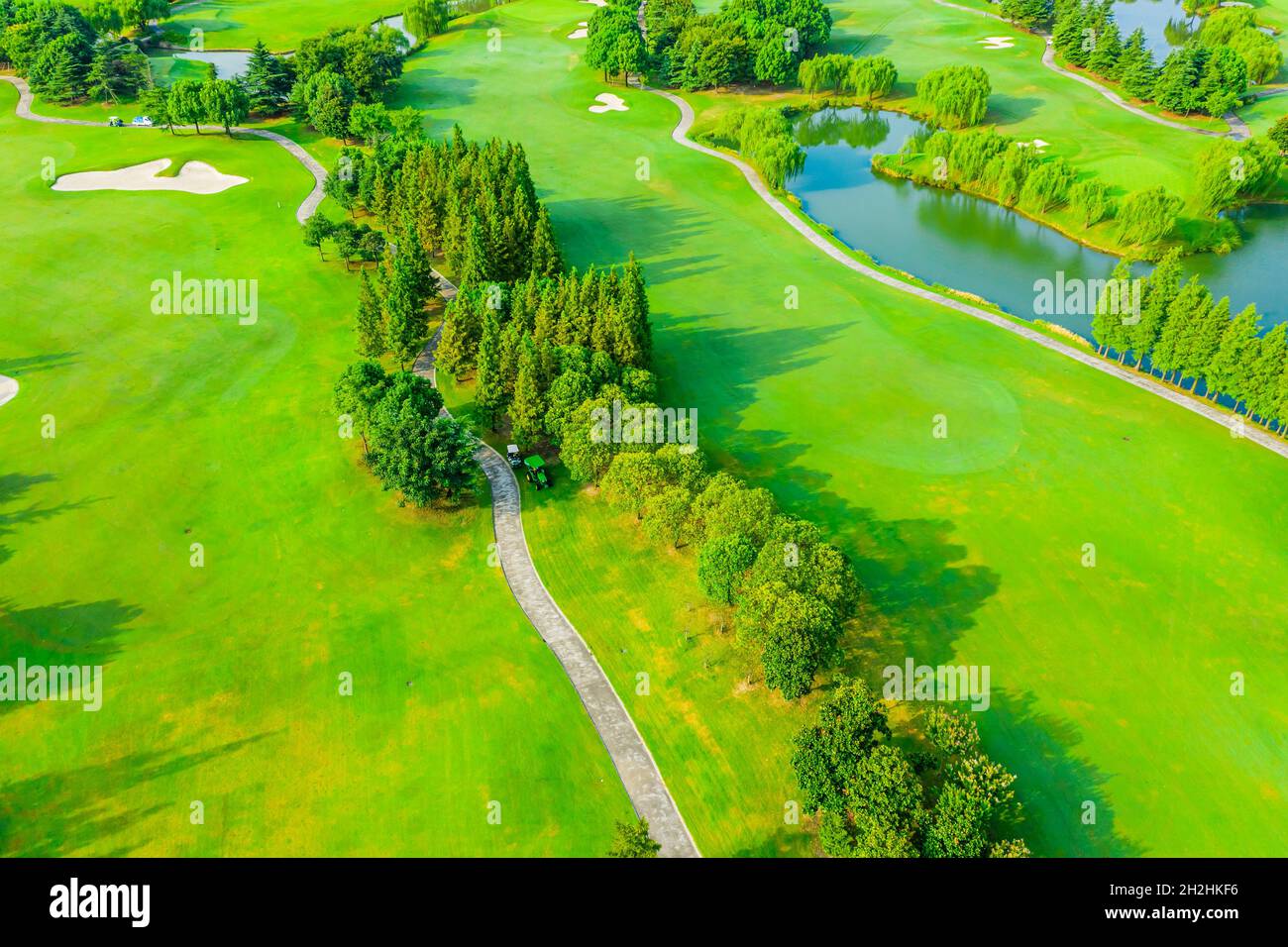 Aerial view of green grass and tree Stock Photo - Alamy