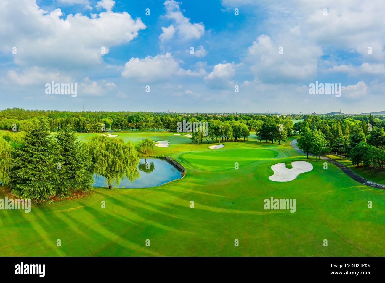 Aerial view of green grass and tree on a golf field Stock Photo - Alamy