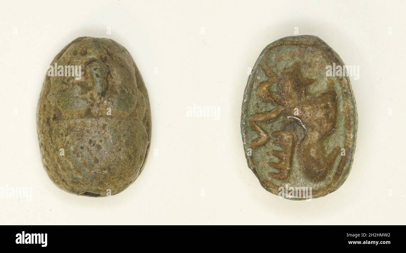 Ram beetle hi-res stock photography and images - Alamy