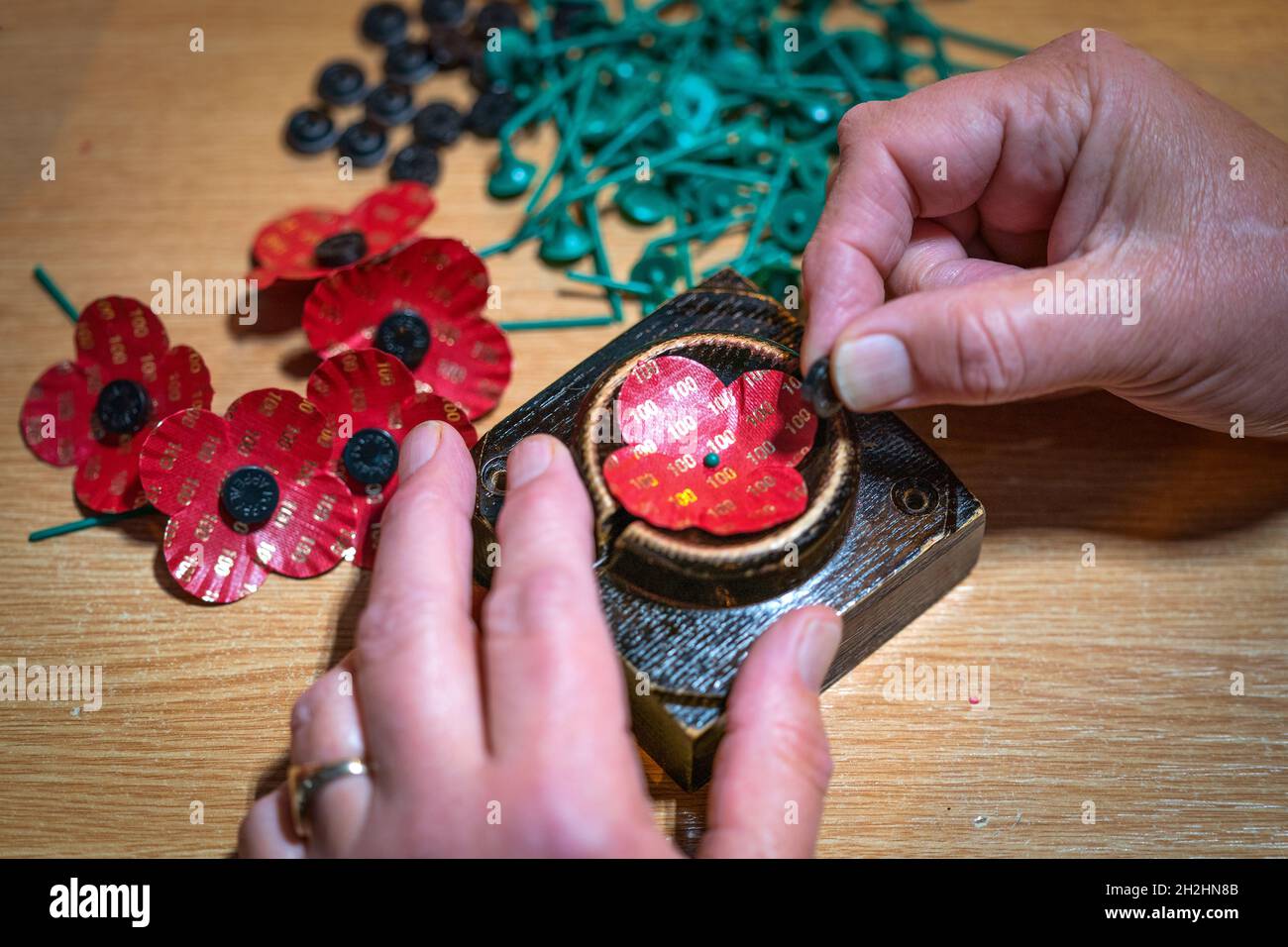 Veteran Willie Urban, from Lady Haig Poppy Factory, makes special ...