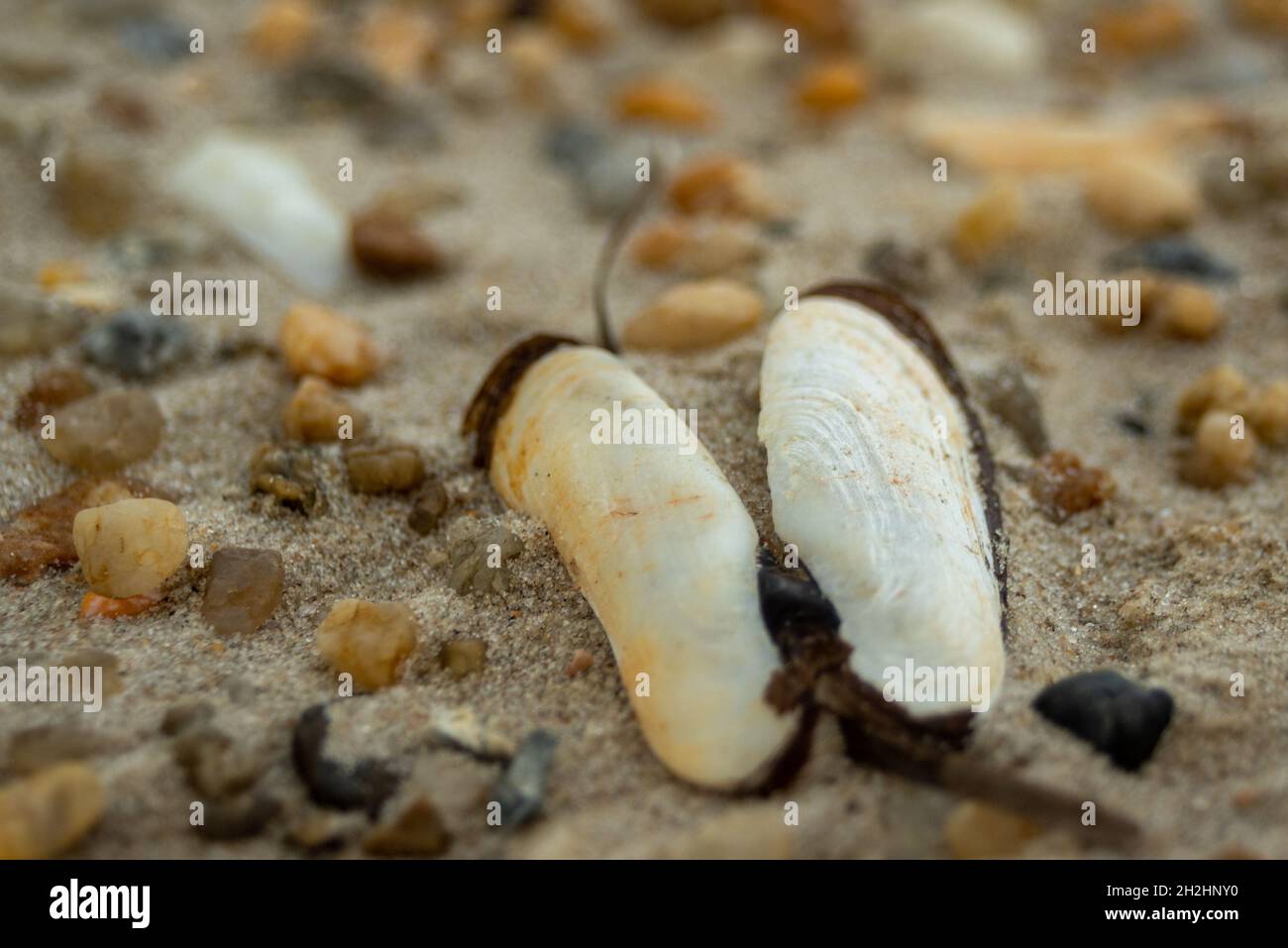 Razor stones hi-res stock photography and images - Alamy