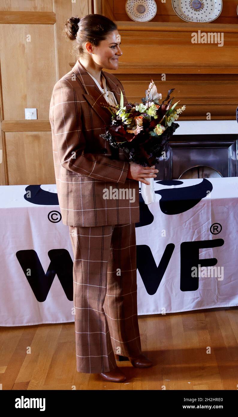 Rockstrom photo hi-res stock photography and images - Alamy