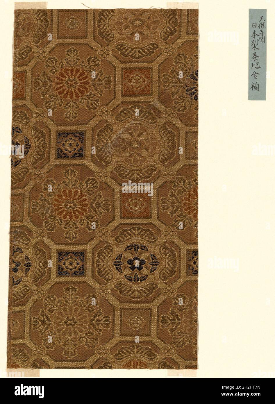 3 1 2 strips to mm hi-res stock photography and images - Alamy