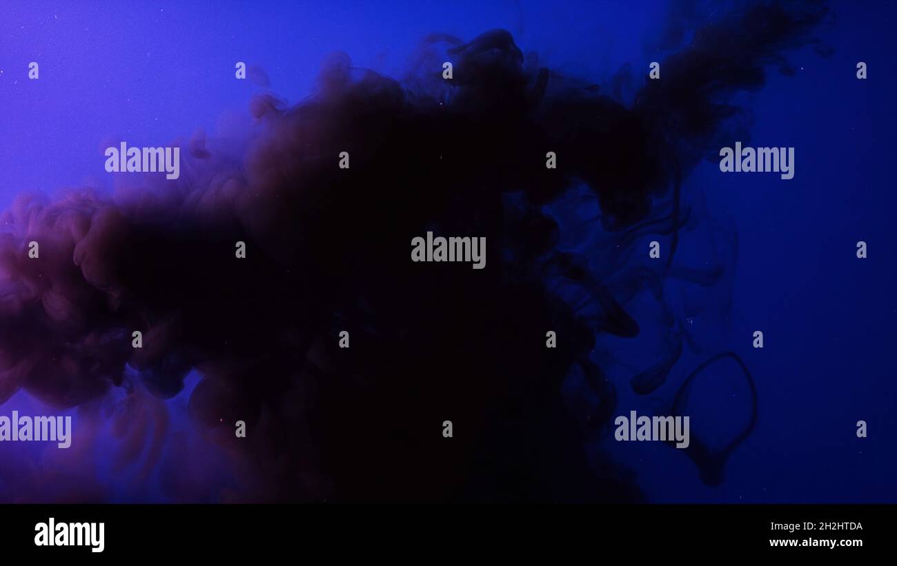 Colorful paint drops in water in slow motion. Dark blue ink paint drops ...