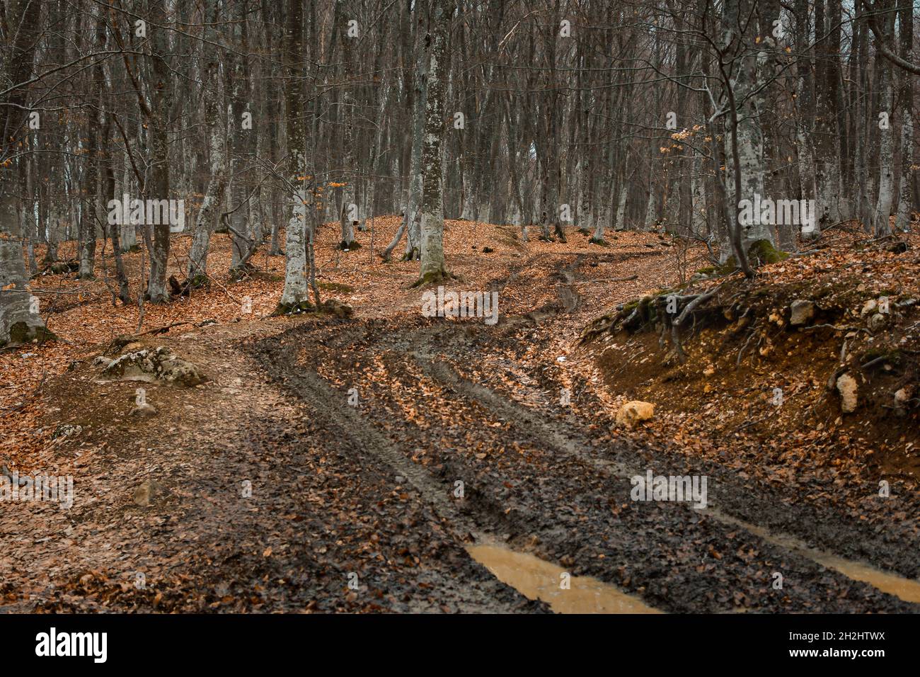 Difficult land hi-res stock photography and images - Alamy