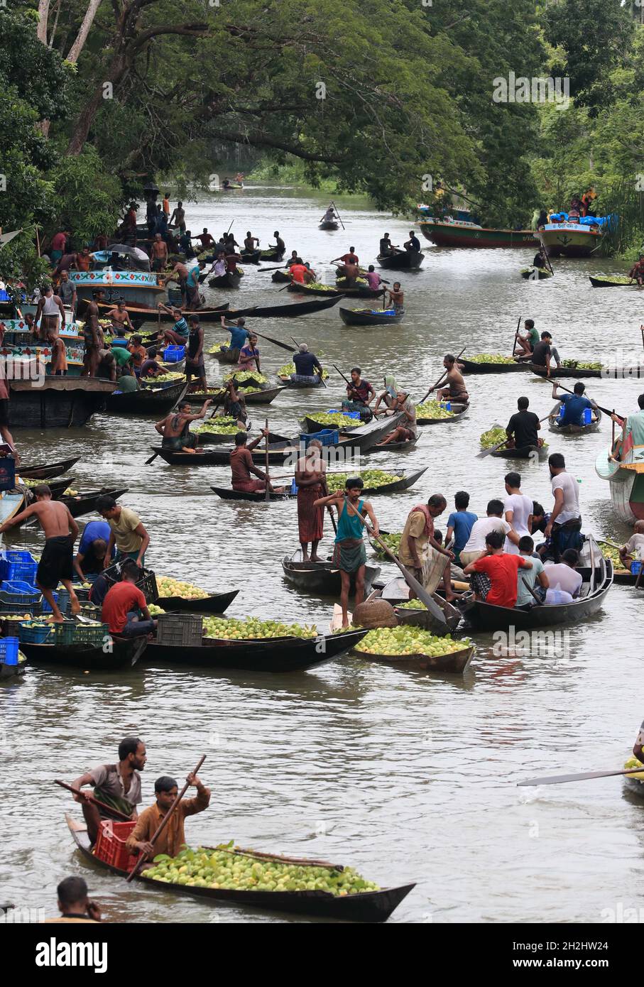 A floating guava market in Barisal at Bangladesh Thousands of farmers ...