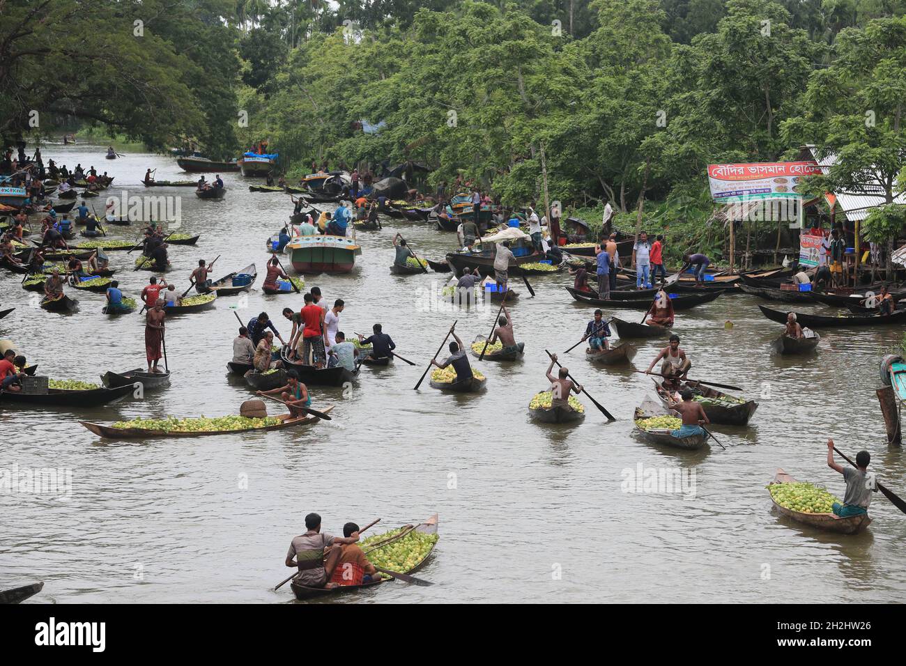 A floating guava market in Barisal at Bangladesh Thousands of farmers ...