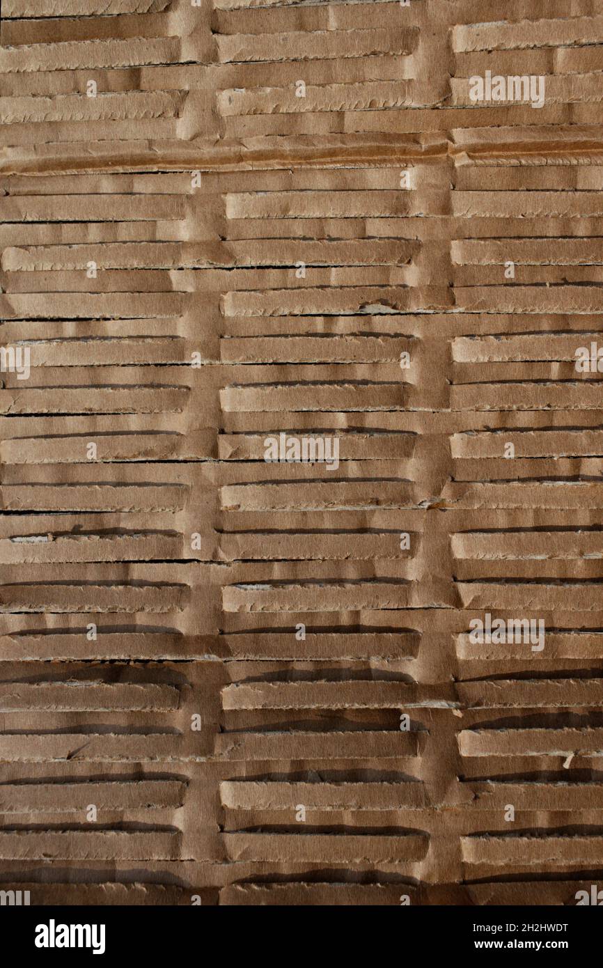 Cut cardboard with natural light and shadow effects Stock Photo - Alamy