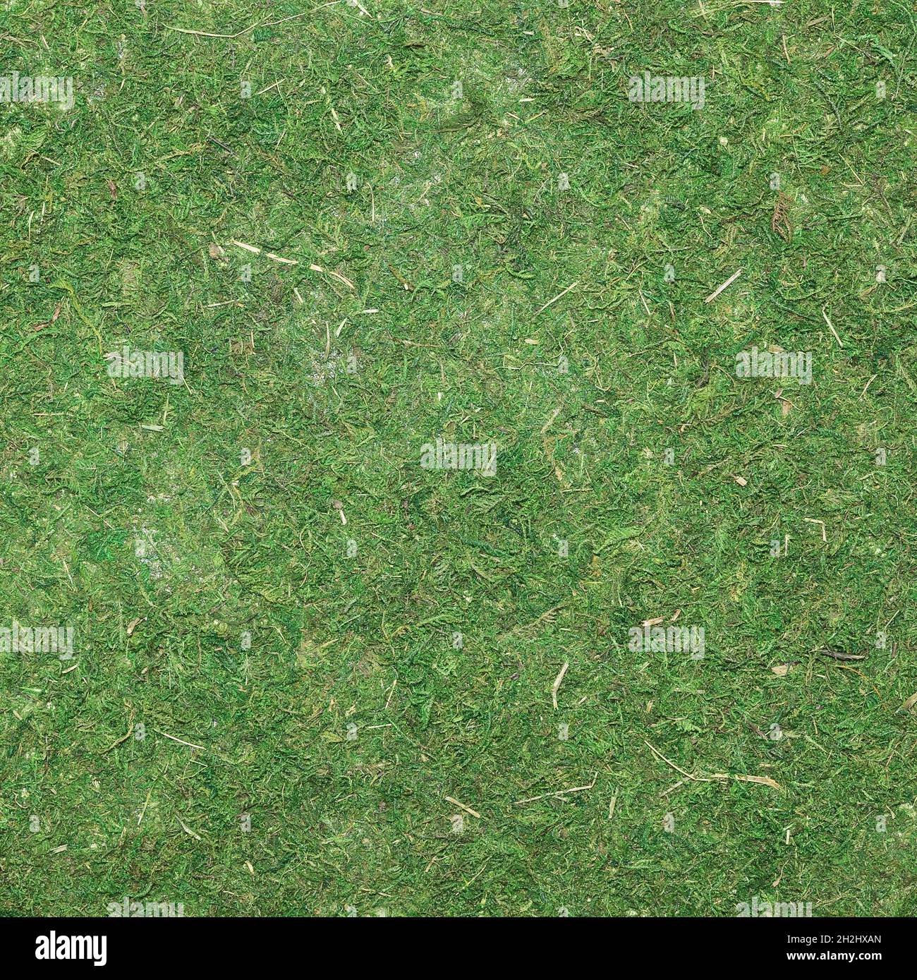 Square aspect ratio hi-res stock photography and images - Alamy