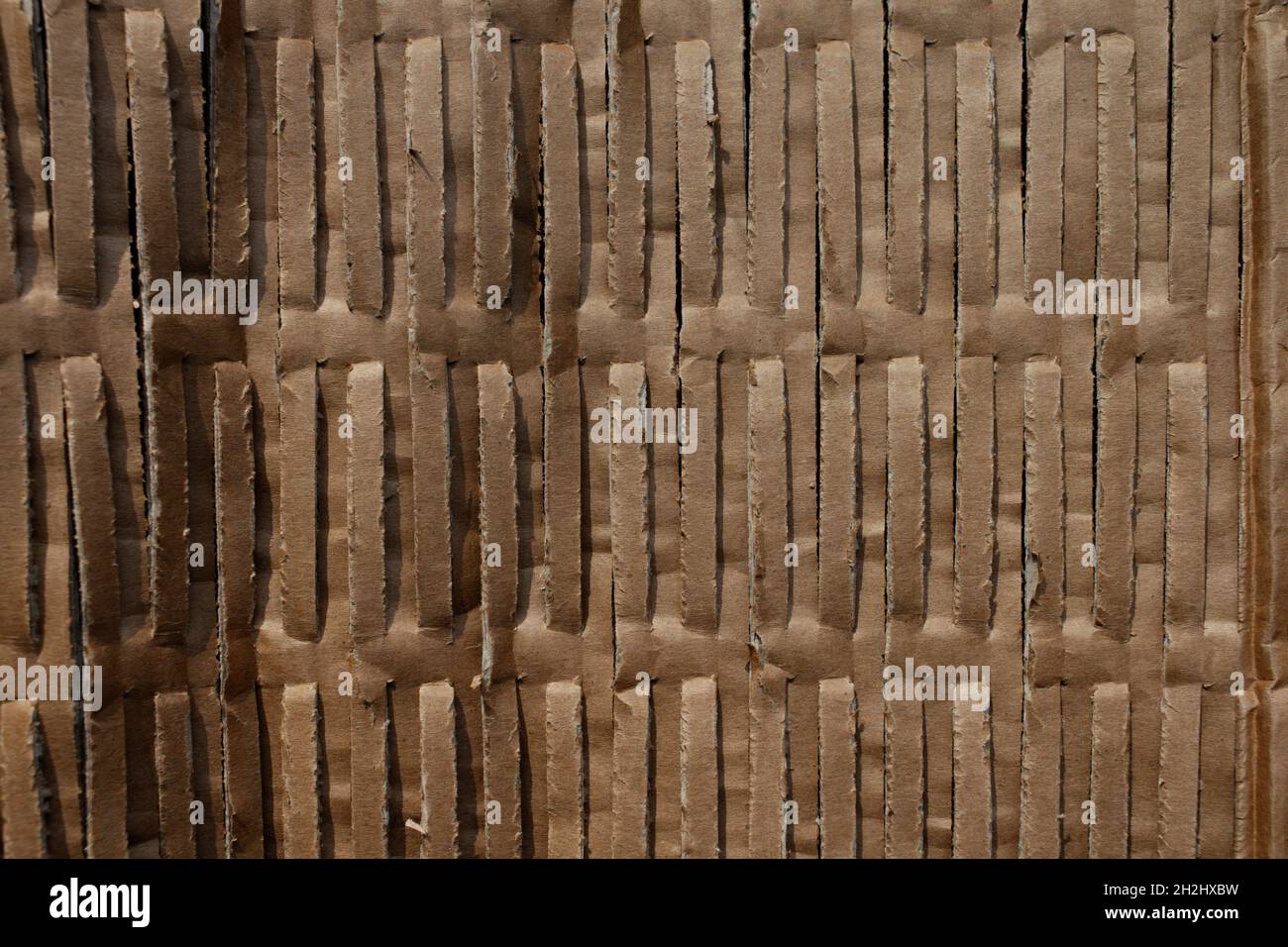 Cut cardboard with natural light and shadow effects Stock Photo - Alamy
