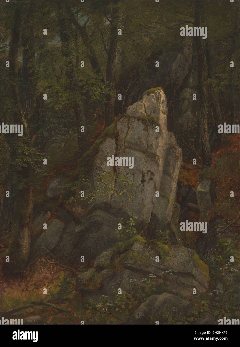 Study of Rocks in Pearson's Ravine, mid-1850s Stock Photo - Alamy