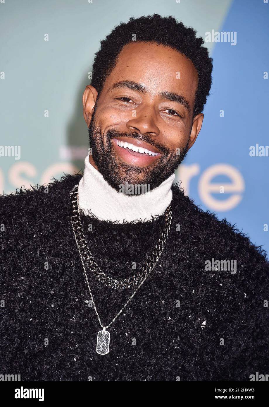 LOS ANGELES, CA - OCTOBER 21: Jay Ellis attends the Premiere of HBO's ...