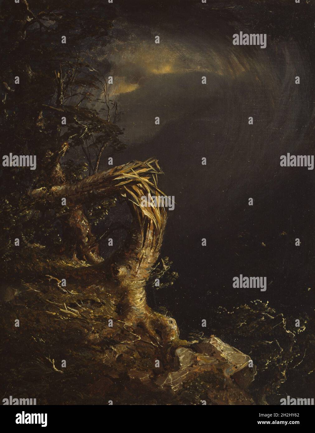 Blasted tree hi-res stock photography and images - Alamy