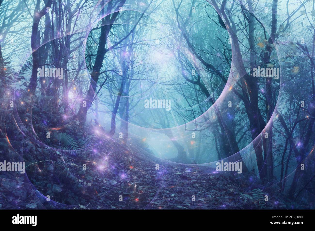 A fantasy edit of mysterious glowing lights in a spooky forest on a ...