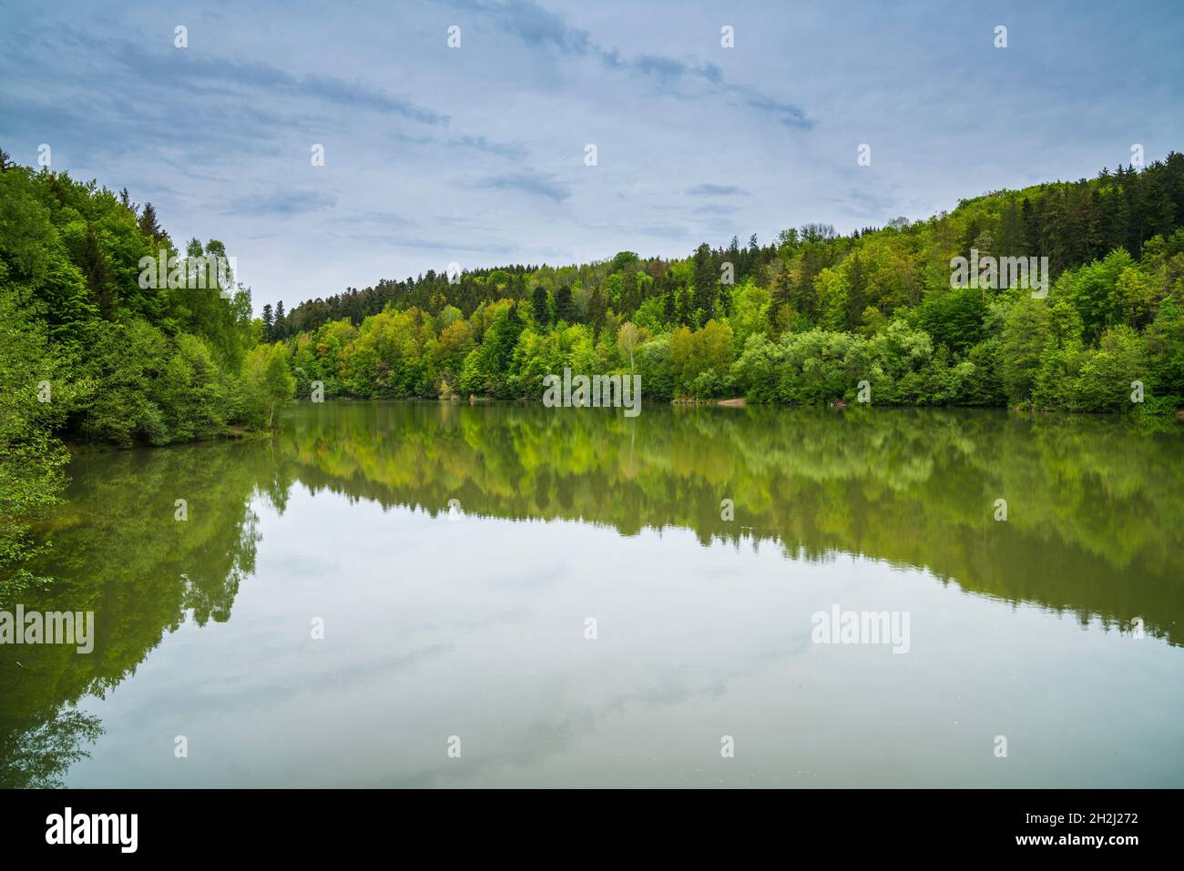 Germany, Calm herrenbachstausee lake water surrounded by green forest ...