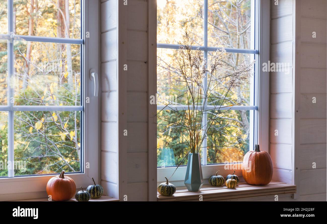 Bright photo studio interior with big window, high ceiling, white ...