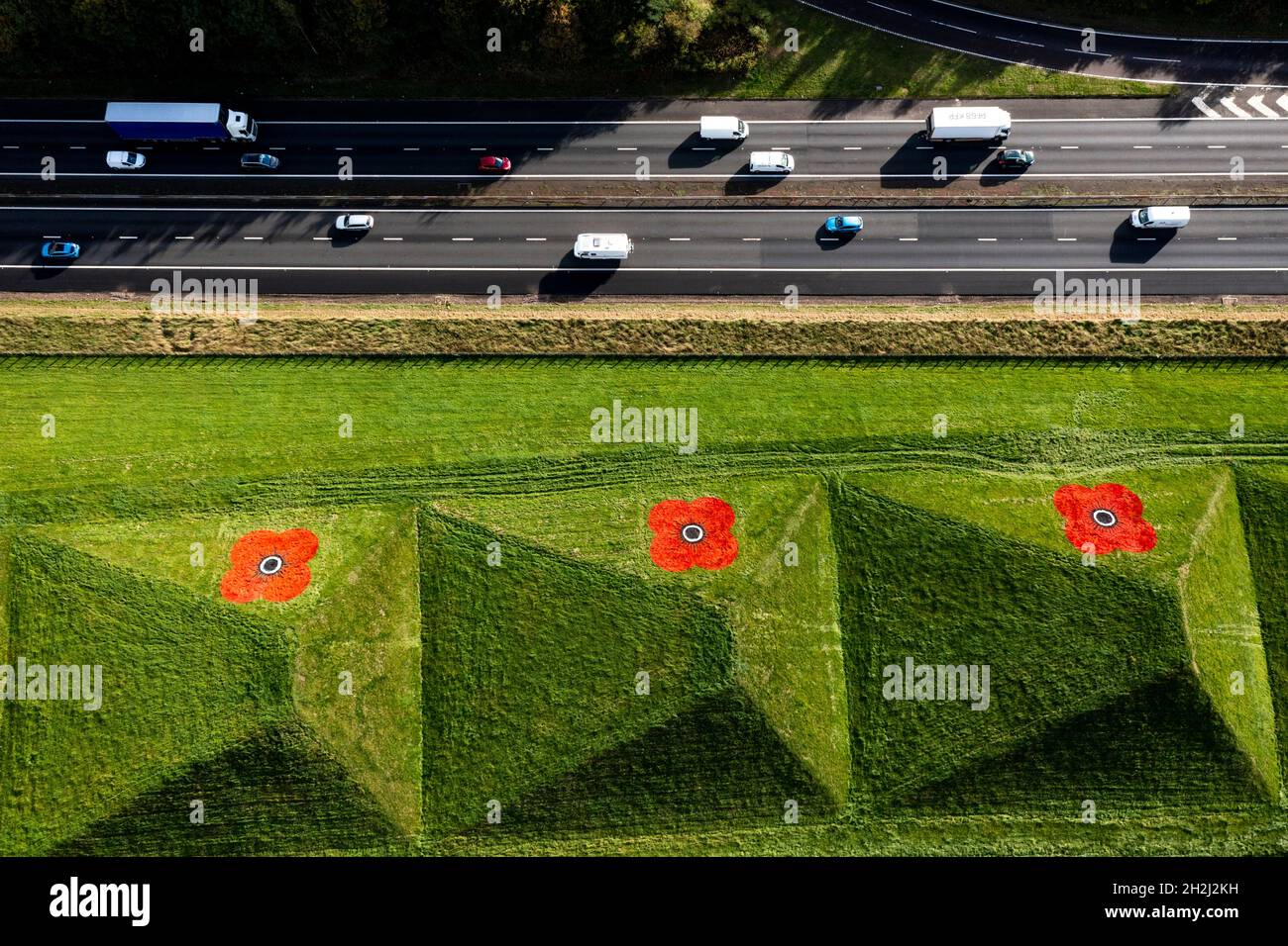 Giant poppies m8 motorway hi-res stock photography and images - Alamy