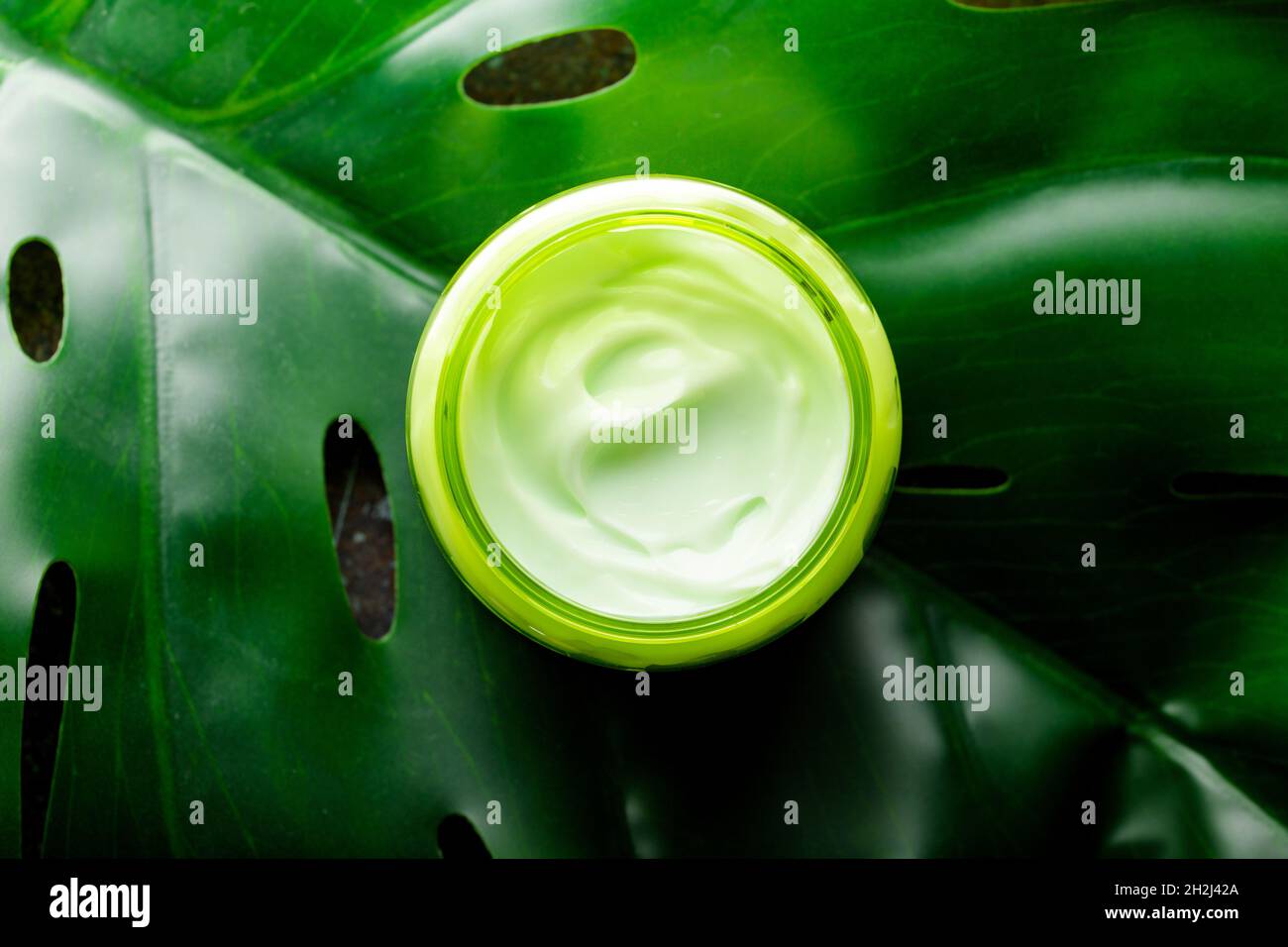 Cosmetic cream on green leaf top view Stock Photo - Alamy