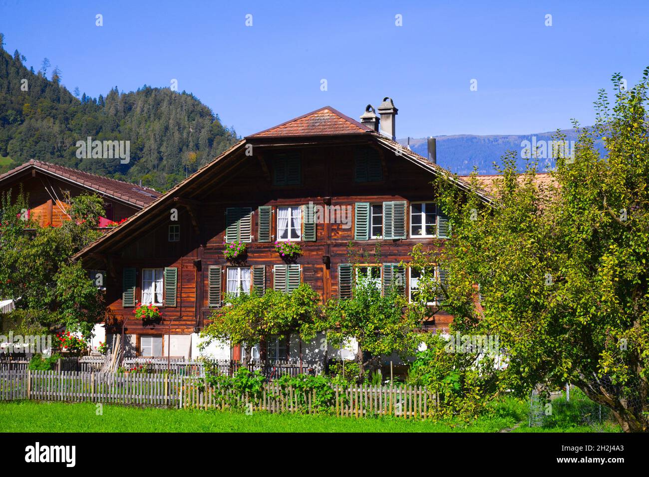 Wilderswil hi-res stock photography and images - Alamy
