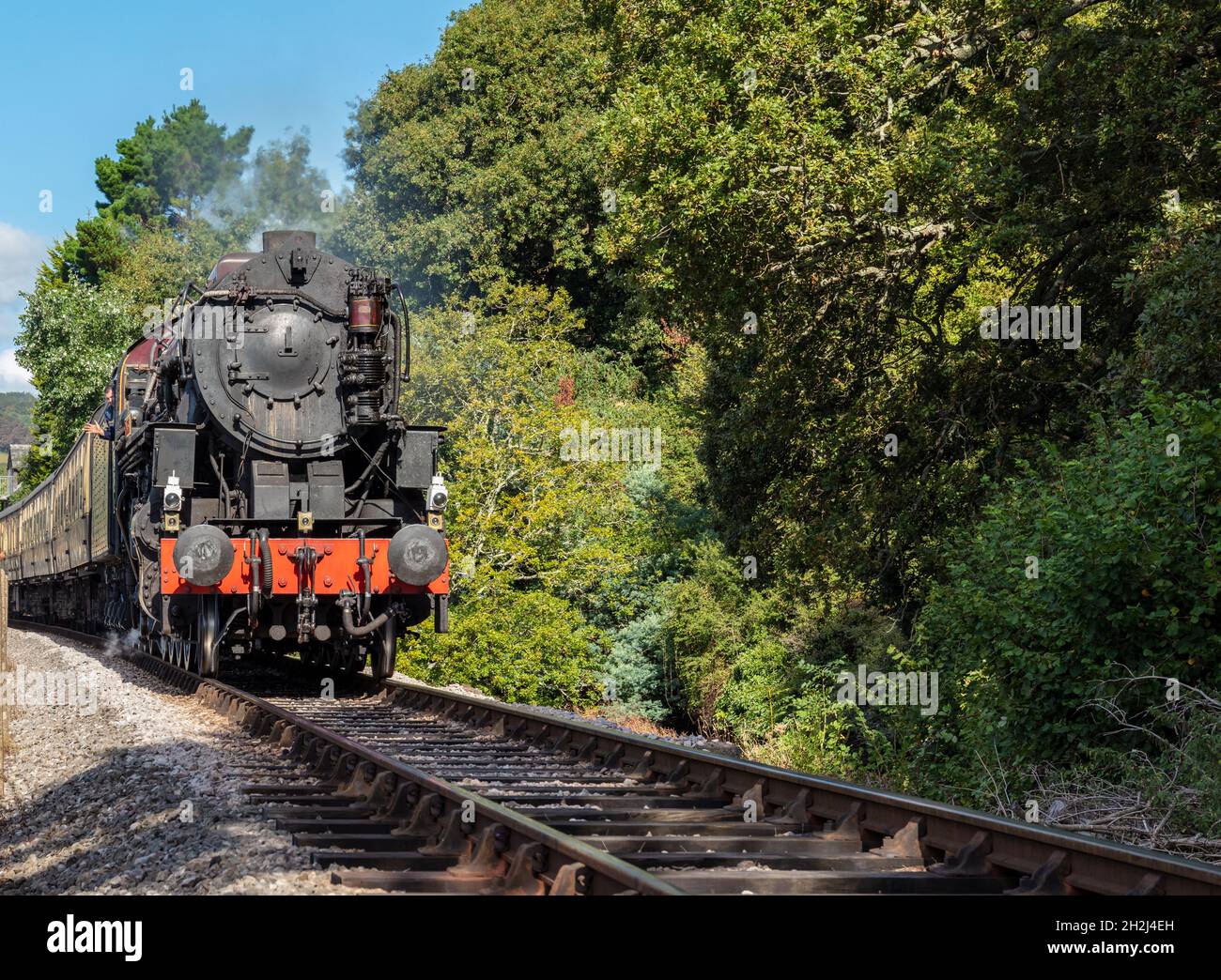 Steam engine approaching Kingswear station, Dartmouth, Devon, United ...