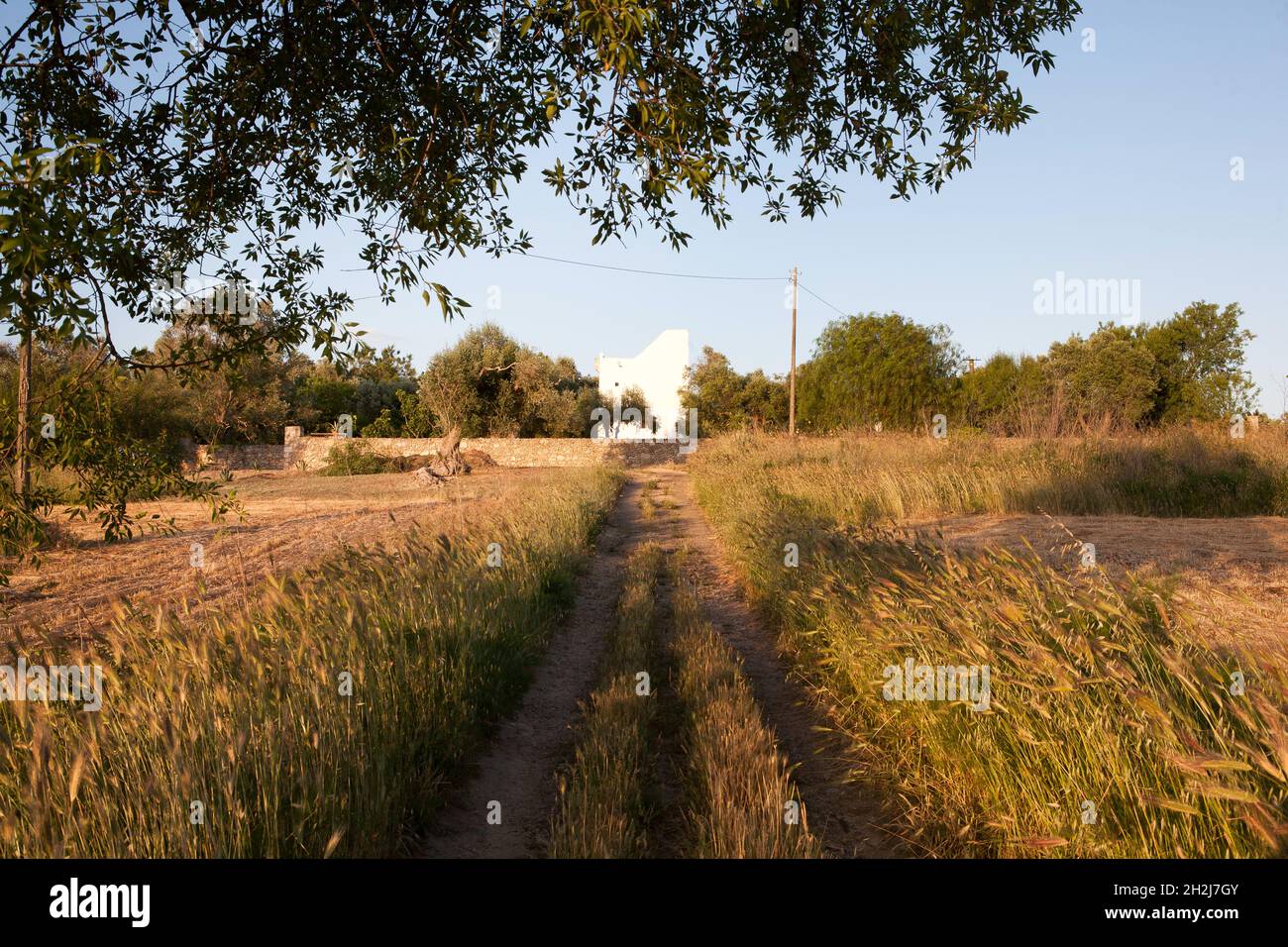 Apulias hi-res stock photography and images - Alamy