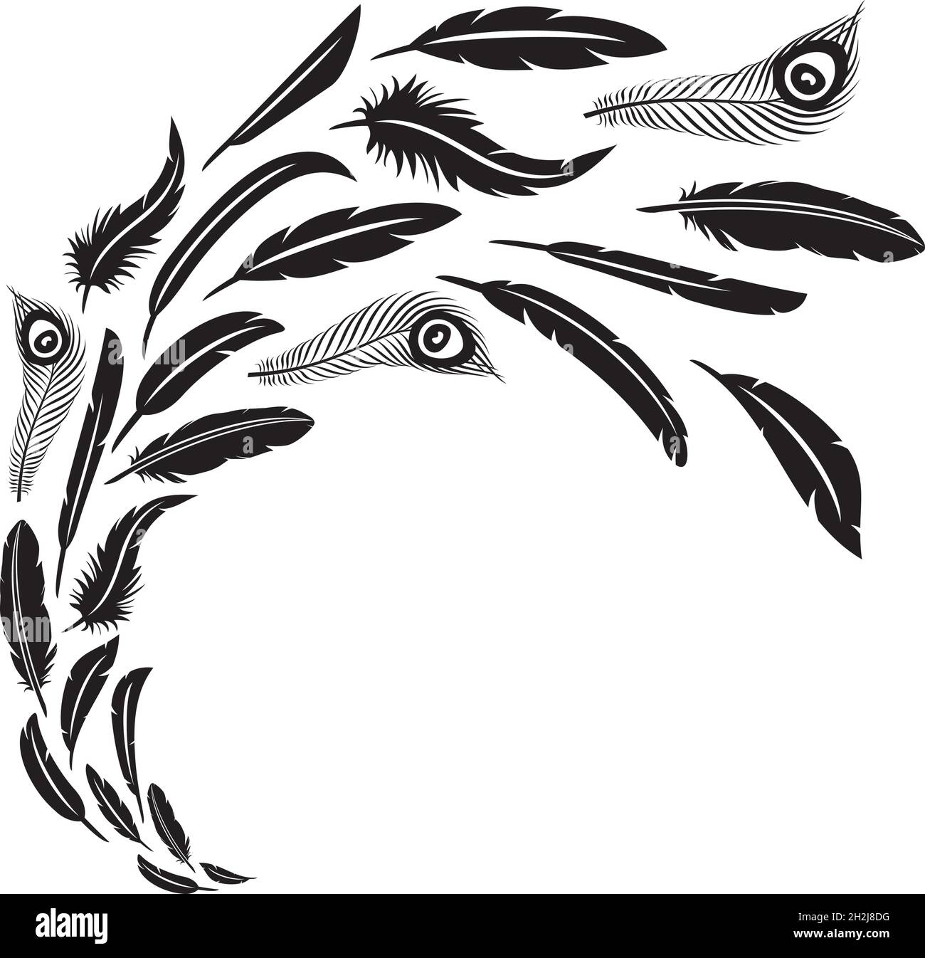 Feder vector vectors hi-res stock photography and images - Alamy