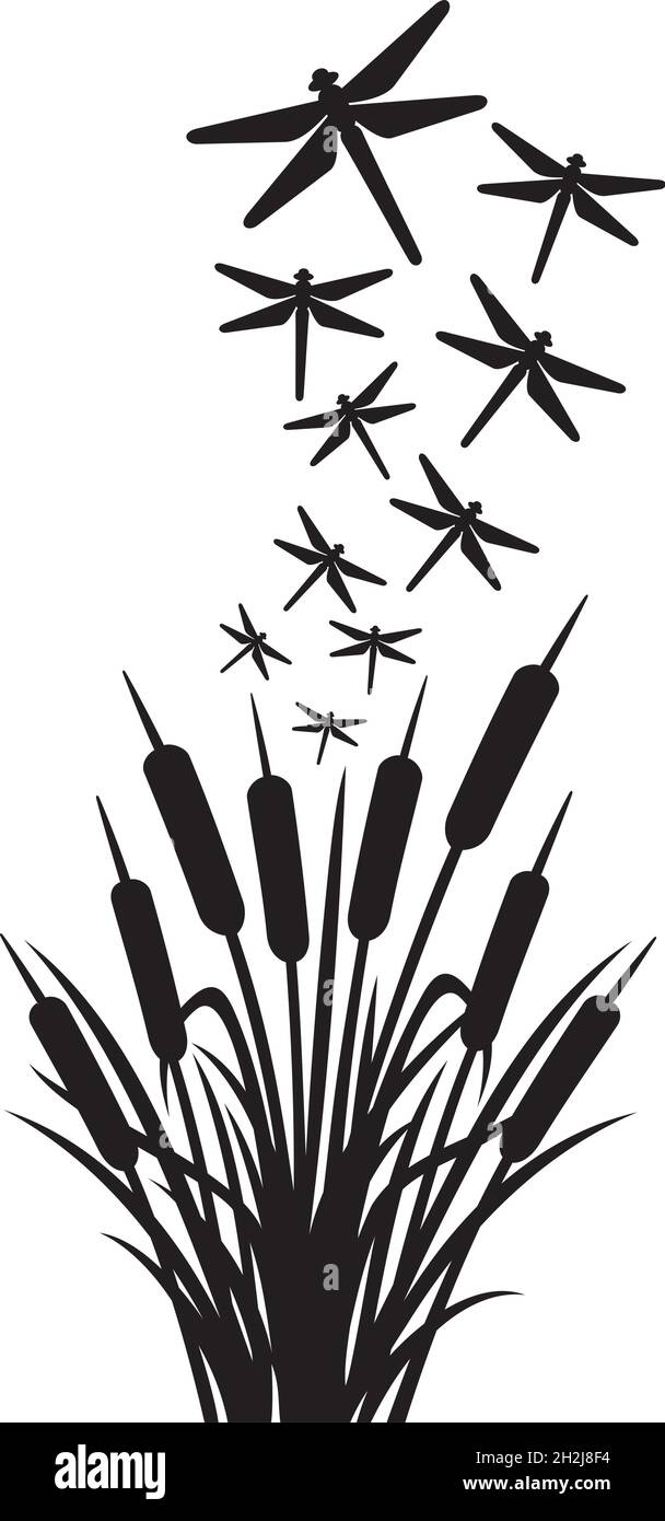 Dragonfly and reeds vector illustration Stock Vector Image & Art - Alamy