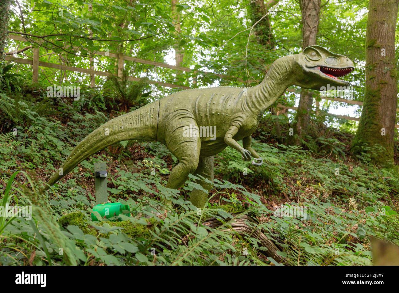 Dino trek at Woodlands Family Theme Park, Totnes, Devon, England ...