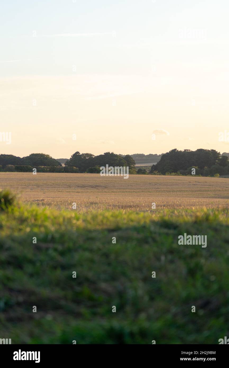 Vertical shot of the beautiful summer countryside landscape. Burnham ...