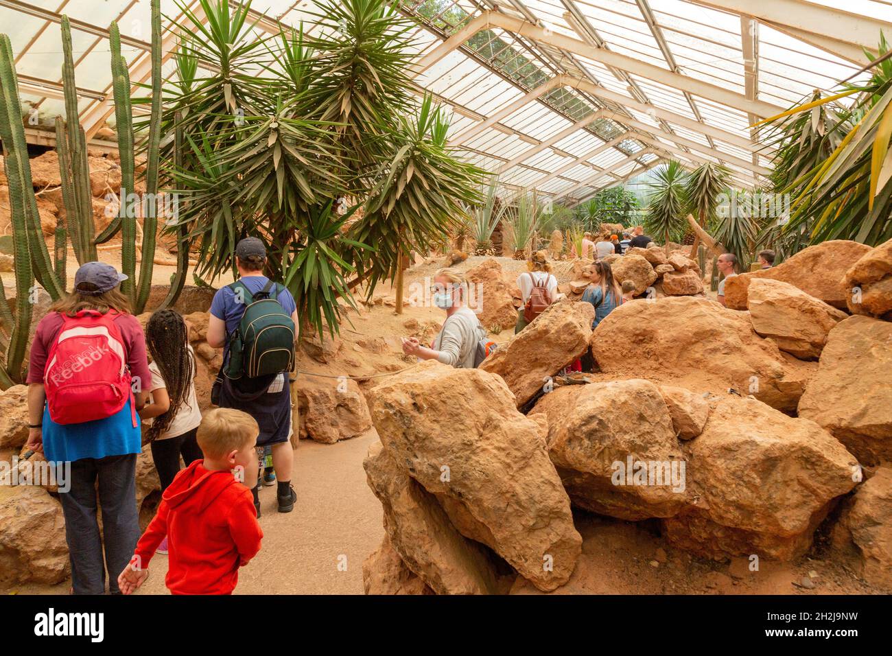 Paignton zoo desert house, Devon, England, United Kingdom Stock Photo ...