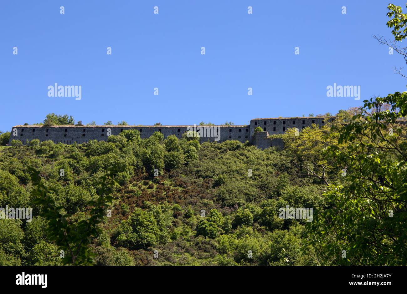Forte ratti hi-res stock photography and images - Alamy