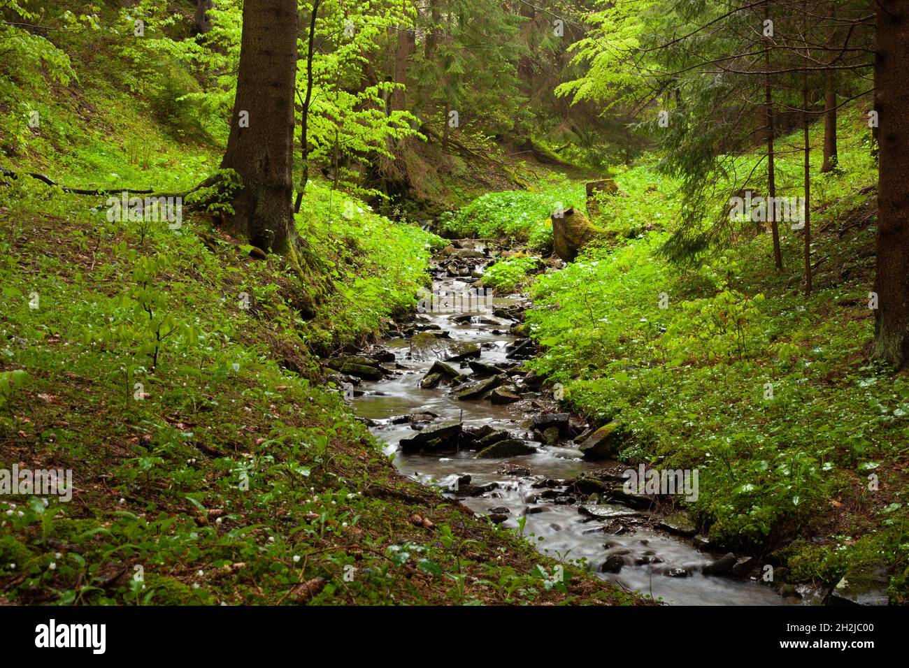 Stream flowing though a small valley Stock Photo - Alamy