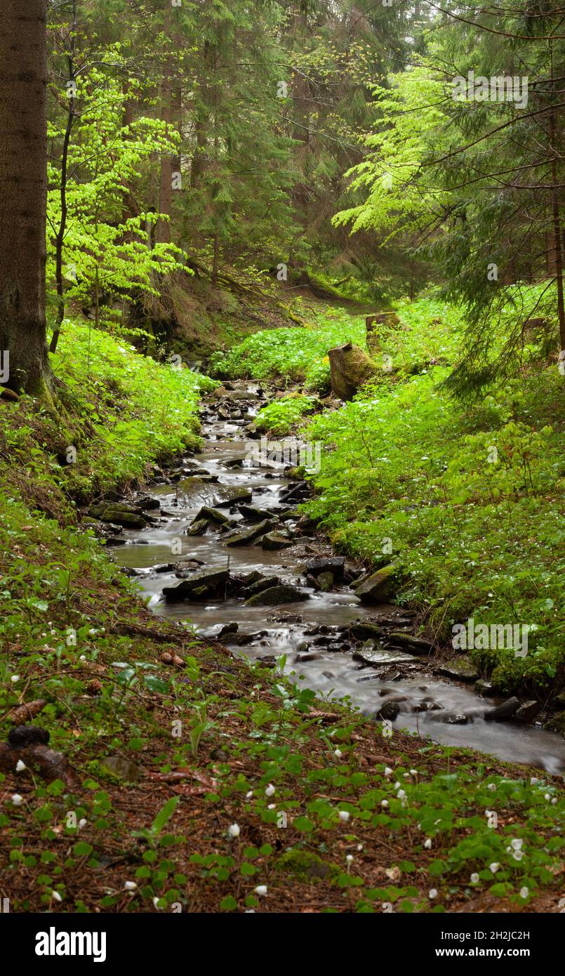Stream flowing though a small valley Stock Photo - Alamy