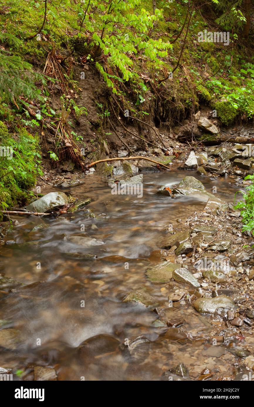 Stream flowing though a small valley Stock Photo - Alamy