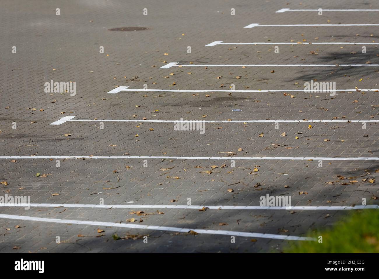 The area covered with concrete paving stones with painted white lines ...