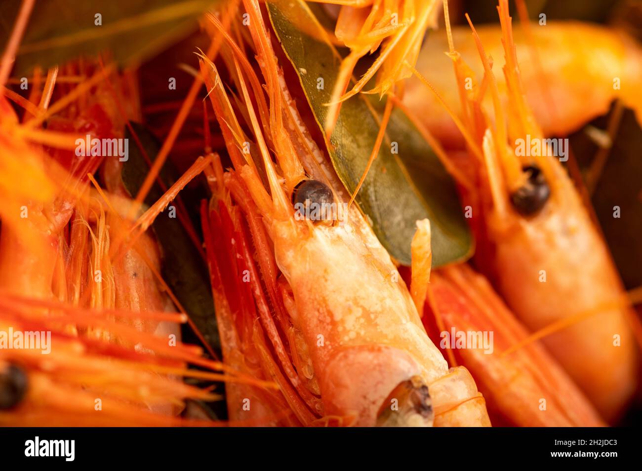 Atlantic shrimp cooked with allspice and bay leaf close-up, surface ...