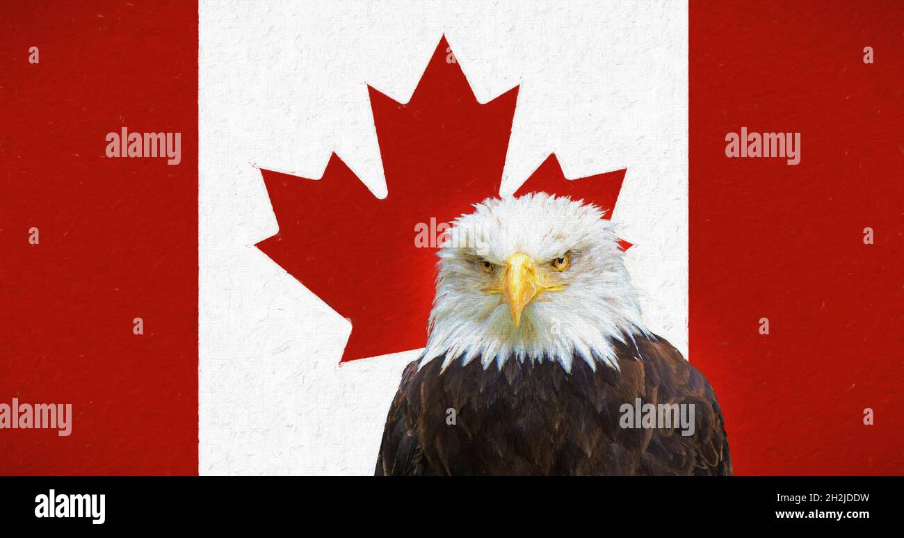 Bald eagle in front of the Canadian flag - Digital painting Stock Photo ...