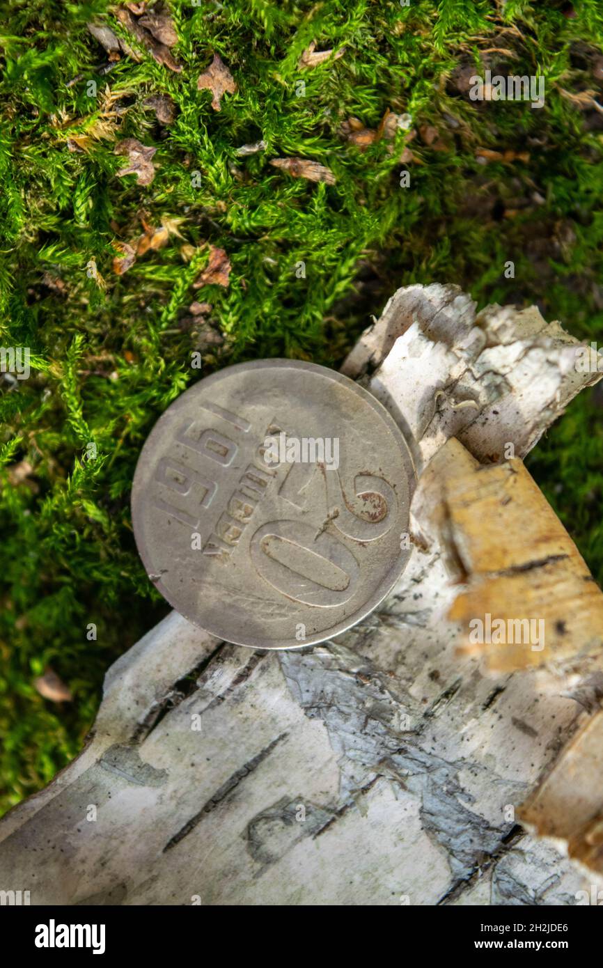 Old coins in the forest on a piece of birch bark lying on green moss ...