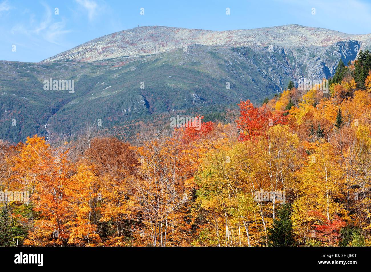 Fall foliage near Wildcat Mountain near Jackson, New Hampshire, USA ...
